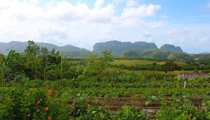 10 imprescindibles que ver y hacer en Cuba para disfrutar la isla