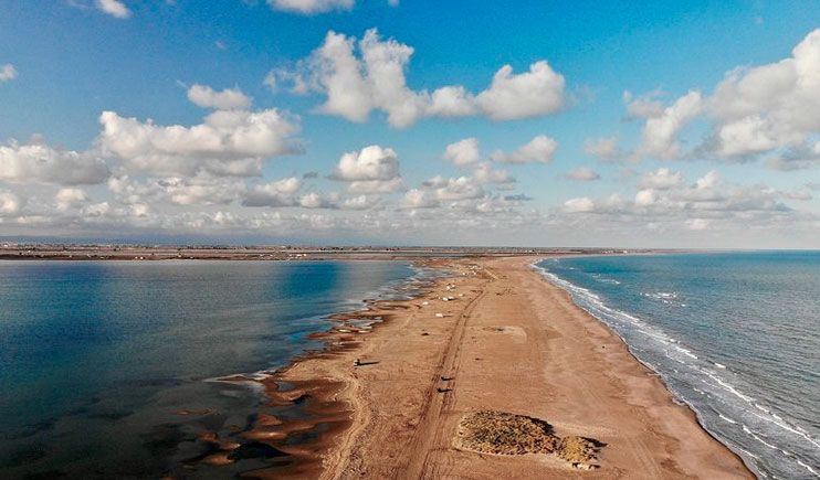 7 imprescindibles que ver y hacer en el Delta del Ebro en 1 o 2 días