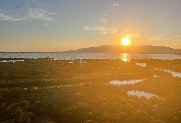 7 imprescindibles que ver y hacer en el Delta del Ebro en 1 o 2 días