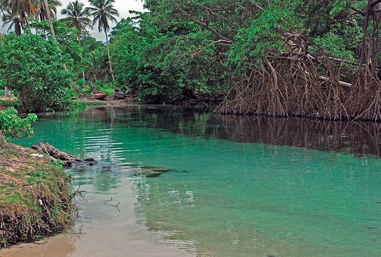 13 imprescindibles que ver y hacer en Samaná (República Dominicana)