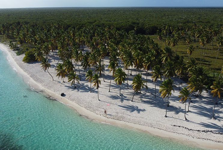 Cómo visitar Isla Saona por libre y que ver y hacer