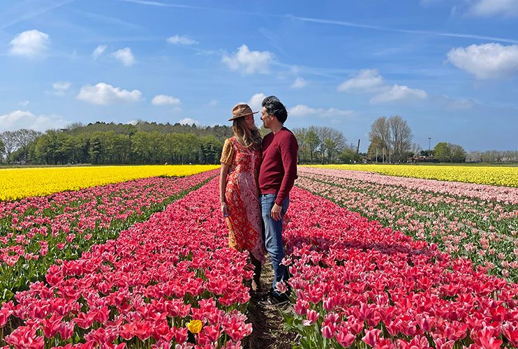 Dónde y cuándo visitar los campos de tulipanes en Holanda 🌷 + MAPA