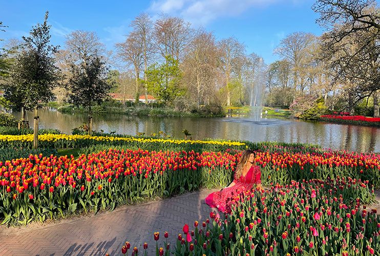 Dónde y cuándo visitar los campos de tulipanes en Holanda 2023🌷+ MAPA