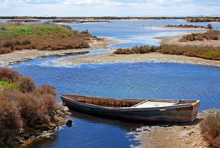 18 imprescindibles qué ver y hacer en el Delta del Ebro