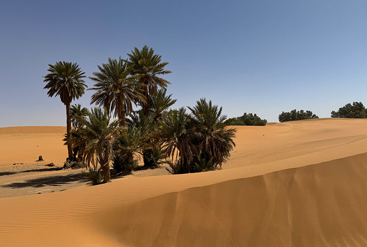 Cómo visitar el desierto de Merzouga en Marruecos + consejos