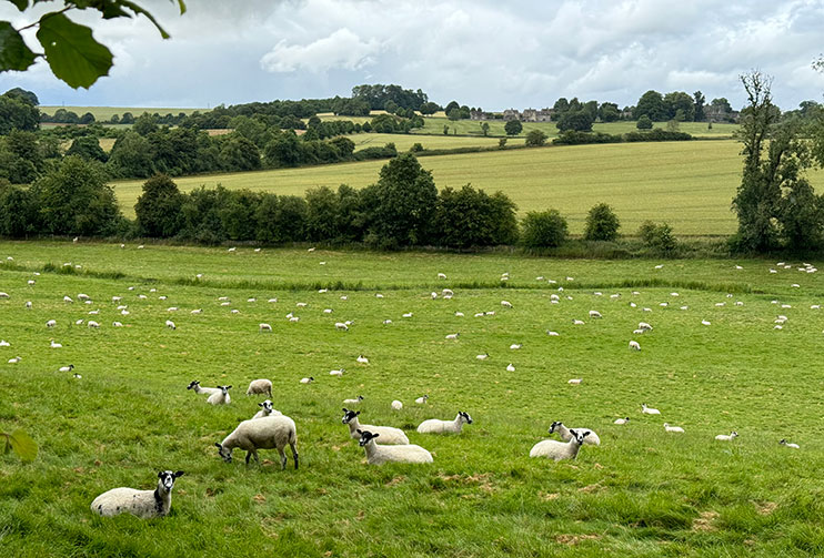 Ruta por los Cotswolds en 4 días: mapa e itinerario + vídeo