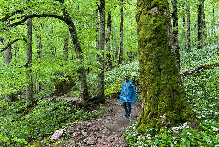 Cómo visitar el parque Biogradska Gora en Montenegro