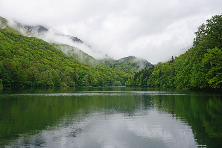 Cómo visitar el parque Biogradska Gora en Montenegro