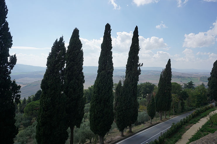 11 imprescindibles qué ver y hacer en Pienza (Italia)