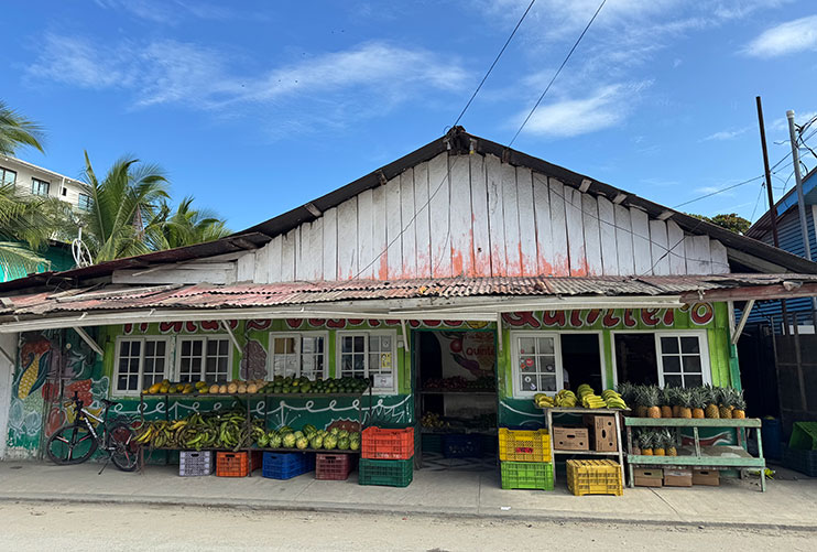 11 imprescindibles qué ver y hacer en Bocas del Toro, Panamá