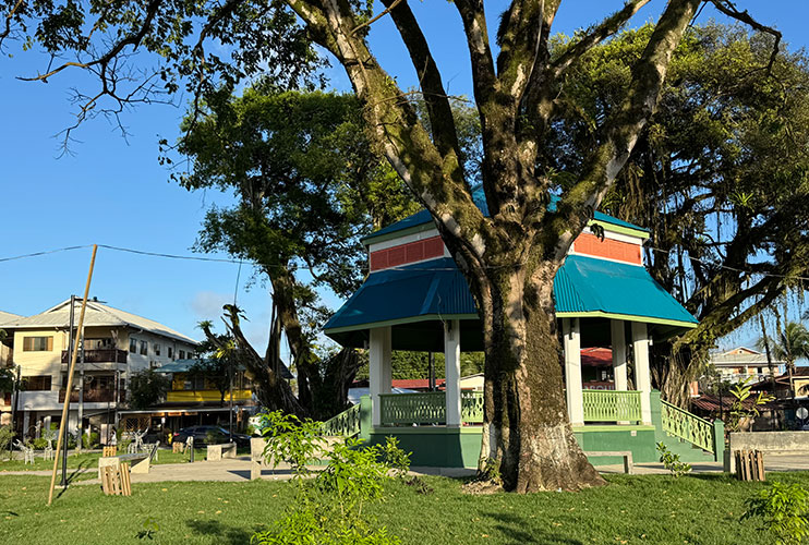 11 imprescindibles qué ver y hacer en Bocas del Toro, Panamá