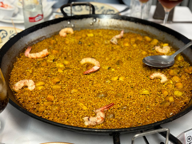 Qué hacer en las Fallas de Valencia 2025 + programa y vídeo