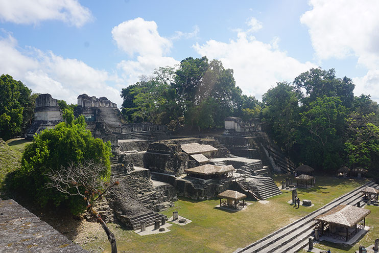 Cómo visitar Tikal (Guatemala): precio, consejos y tours