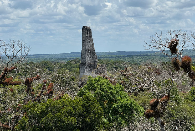 Cómo visitar Tikal (Guatemala): precio, consejos y tours