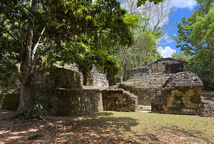 Cómo visitar Tikal (Guatemala): precio, consejos y tours