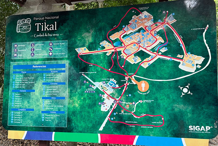 Cómo visitar Tikal (Guatemala): precio, consejos y tours