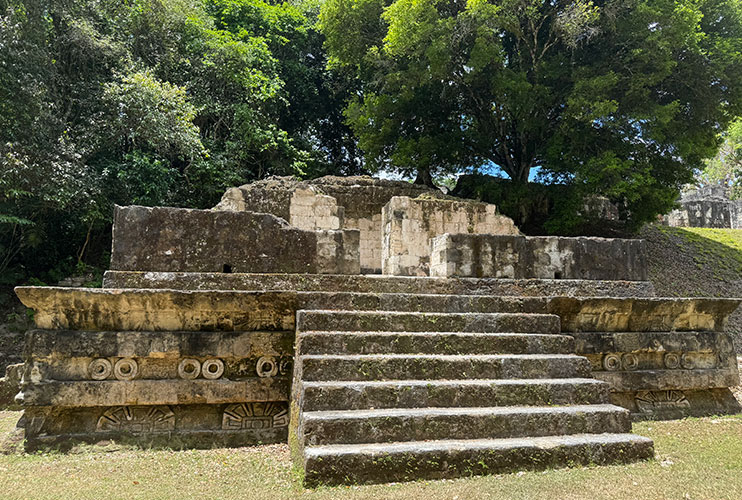 Cómo visitar Tikal (Guatemala): precio, consejos y tours